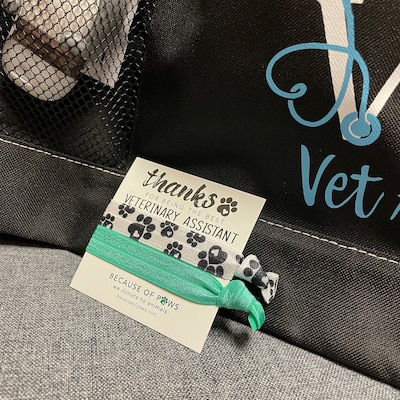 Vet Tech Week Thank You Gift, Veterinary Scrub Pin, Veterinary ...