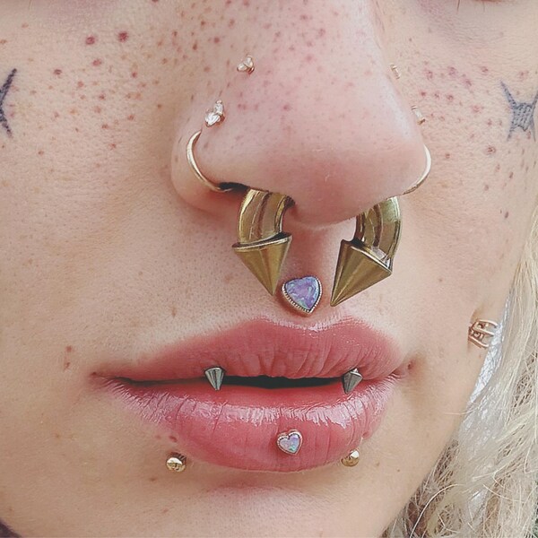 Half DARK PURPLE / SILVER (4G, 5G, 6G, 7G, 8G, 10G, or 12G) Anodized ...