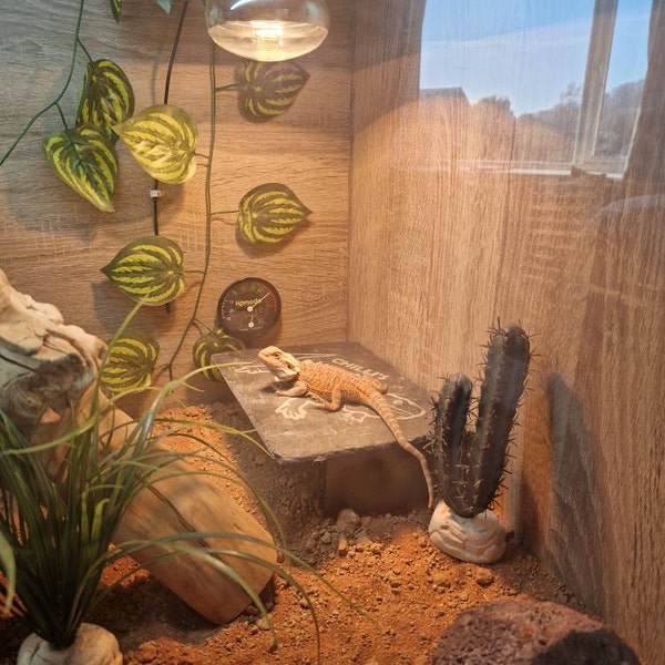 Personalised WWE Bunting, 6 Flags, Birthday, Party - Etsy