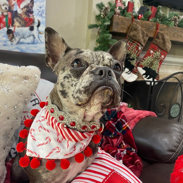Snap On...reversible Plaid SWEATER Dog Bandana With OPTIONAL Pom Trim ...
