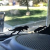 T-rex Sticker, Car Window Sticker, Tyrannosaurus Rex Sticker, Dinosaur ...