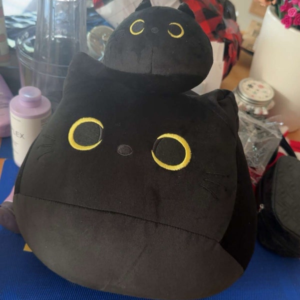 Graduation Gift Positive Potato, Emotional Support Pickle, High School ...