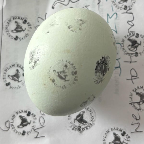 Mini Egg Stamp | Homesteading | Farm Stamp | Egg Marking | Egg Stamper ...