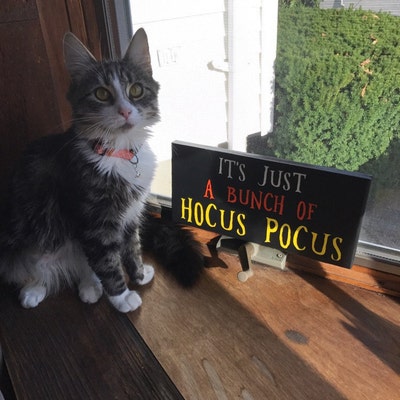 It's Just A Bunch of Hocus Pocus Halloween Wood Sign 13 X 6 Wooden ...