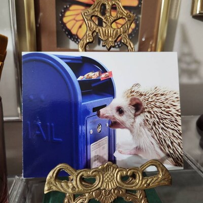MCM Hedgehog Postcard Set of 2 Mid-century Mirah Postcards - Etsy