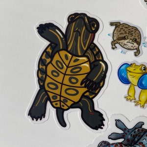 Watercolour on Wood Rainbow Ball Python Snake Print - Etsy