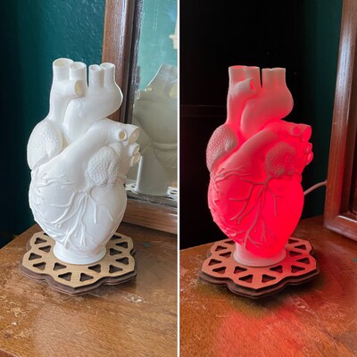 Human Heart 3D Printed Accent Lamp, Anatomical, Table Lamp, Novelty ...