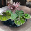 Blue Heron Precut Stained Glass Art Craft Kit for Mosaic Inlay, Wall ...