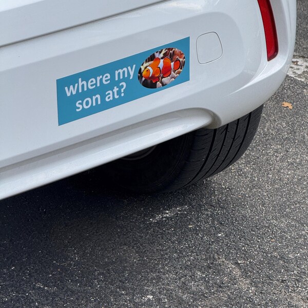 Funny Bumper Sticker "i Eat Drywall" Meme Car Sticker, Unhinged Gen Z ...