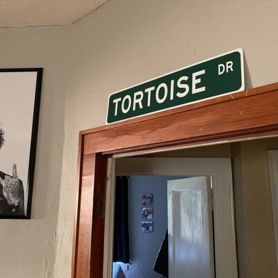 Tortoise, Tortoise Gift, Tortoise Sign, Tortoise Decor, Tortoise Lover ...