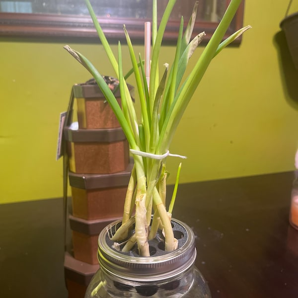 Posterboard Backdrop Bracket Stands 2 Pack | 3D Print Tabletop Backdrop ...