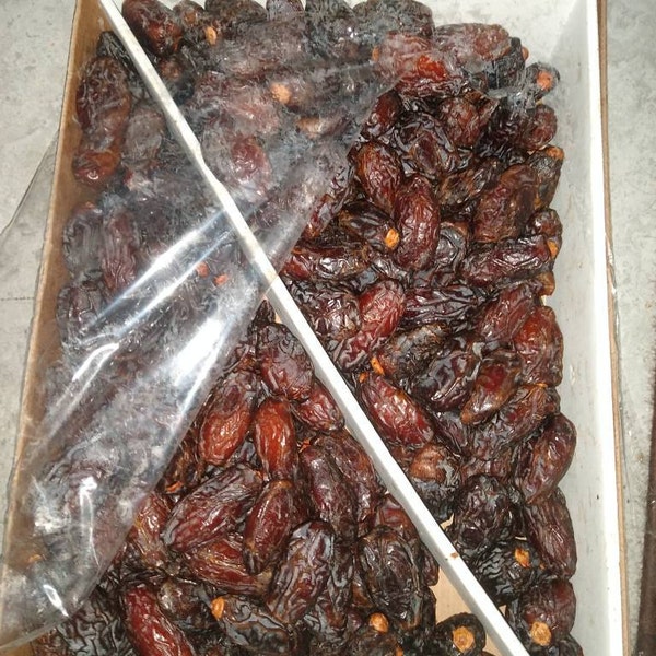 Fresh JUMBO Medjool Dates / Fresh 2024 Harvest Soft and Juicy Dates ...