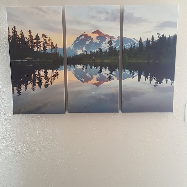 3 Panel Split (triptych) Canvas Print. 1.5" Deep Frames, Beautiful ...