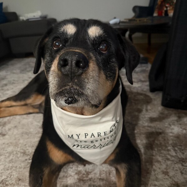 The Big ONE Shirt, Surfer Themed Party, Wave, First Birthday, Bday Boy ...