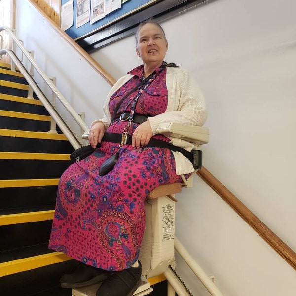 Must Have Side Combs X2 by Plain Jane Ladies Hair Combs Tortoiseshell ...