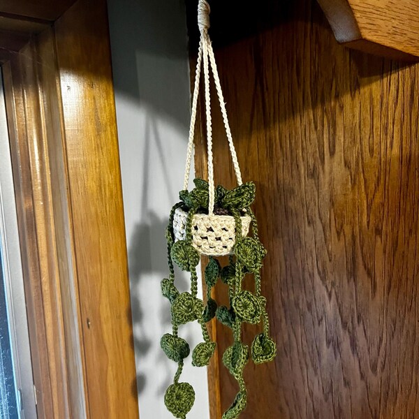 Pothos Plant Crochet Pattern: Car Hanging Flower Basket (PDF Pattern ...