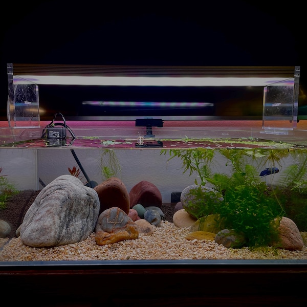 4-5lbs River Rocks Colorful Stones Smooth Aquarium Rocks Terrarium ...