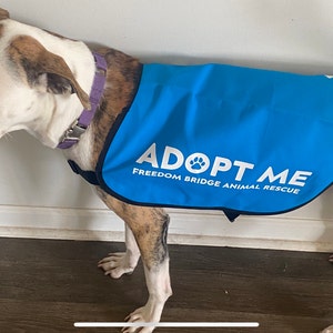 5-pack Adopt Me Dog Jackets Vests With GROUP NAME or WEBSITE - Etsy