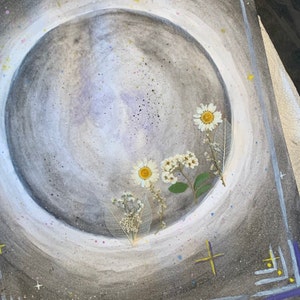 Mini Daisy Pressed Flowers Pack of 25 1/2 7/8 Inch Diameter Yellow ...