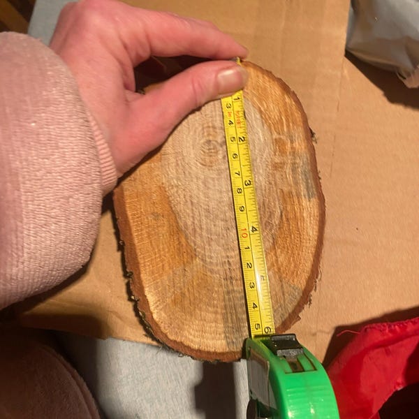 Natural Silver Birch Hardwood Round Log Slices Rustic Green Hard Wood ...