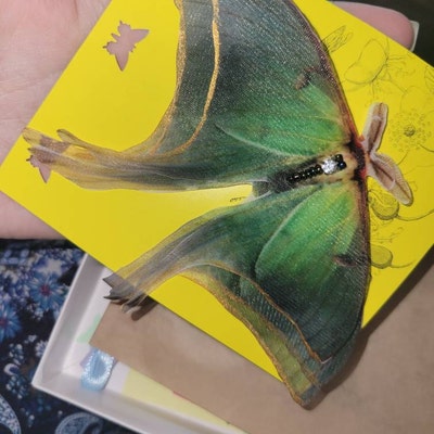 Silk Luna Moth Extra Large Lapel Pin Brooch 3d Three-layered - Etsy