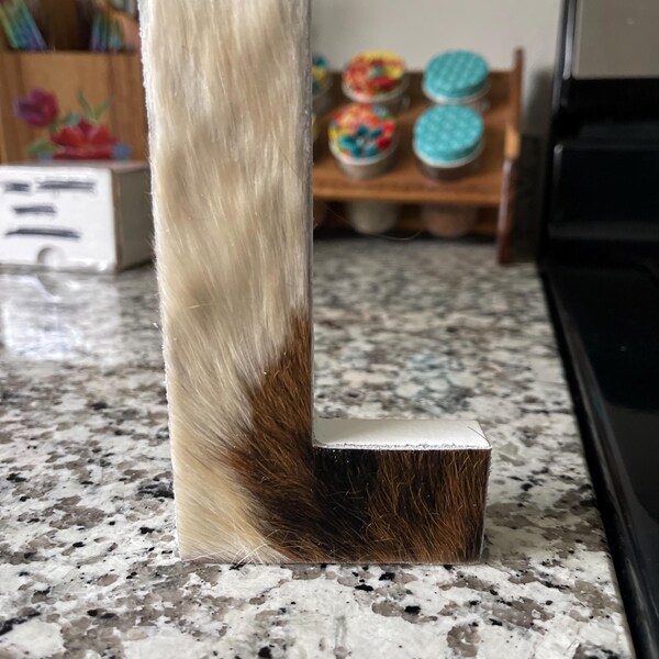 Cowhide Letter, Home Decor, Western, Rodeo, Cowgirl, Cattle, Initial ...