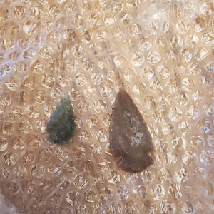 Large 7 Inch Florida Fossil Whelk Sea Shell All Natural - Etsy