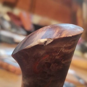 Jungle's Alien Xenomorph Curly Poplar Stabilized Wood - Etsy