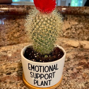 Emotional Support Plant DO NOT PET Funny Planter Emotional Support ...