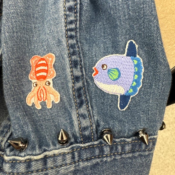 Comets Color Choice Mascot Team Name Words Iron on Applique Embroidered ...