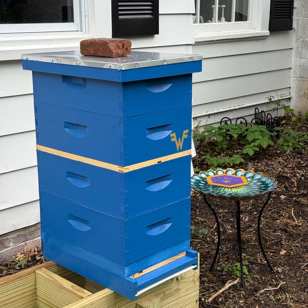 Monarch Butterfly Raising Kit- Butterfly Raising Kit, Milkweed Floral ...