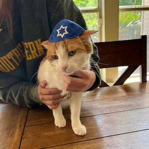 Yarmulke Kippah for Pets: Dogs and Cats - Etsy