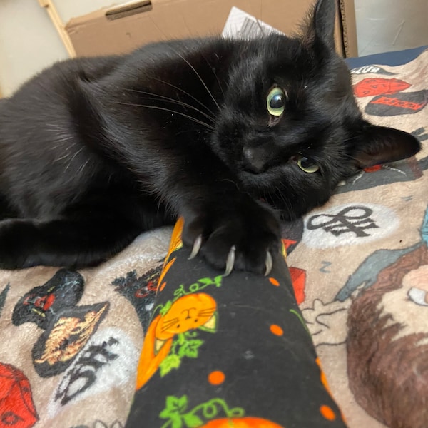 16” Catnip Toy - Large Kicker - Cat Toy - Cat Gift - Organic Catnip ...
