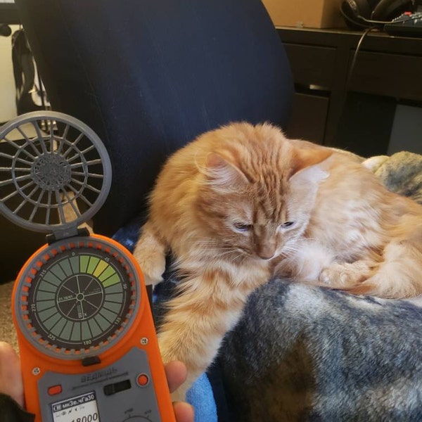 LLM 03 Vario Ray Dummy Airsoft - Etsy