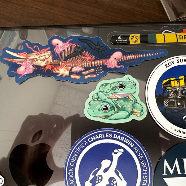 Number 1 Bug Enthusiast Iron-on Patch / Entomologist / Entomology ...