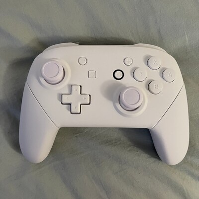 Nintendo Switch Pro Controller White on White Mod Minimalistic ...