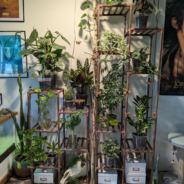 Clear Plastic Slot Pot for Orchids 3 Sizes - Etsy