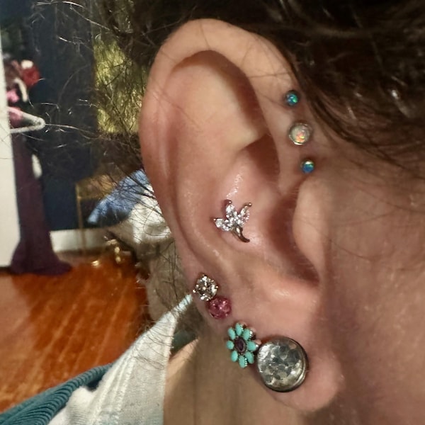 ASTM F136 Titanium Triple Stacked Conch Hoop, 16 Guage, Gold Conch Hoop ...