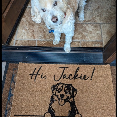 Personalized Dog and Cat Gift, Welcome Mat Cats and Dogs, Custom Dog ...