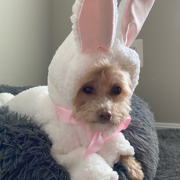 Custom Bunny Costume for Small Breed Dogs - Etsy
