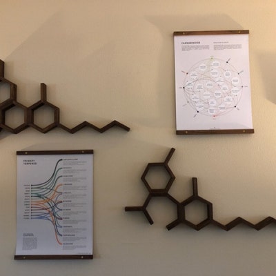 Primary Terpenes: Cannabis Flavors Infographic Chart Print, Cannabis ...