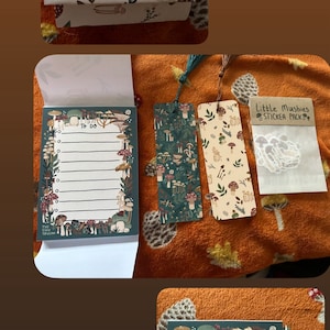 BUGS NAME A4-A3 PRINT Beetle Name Art Nursery Wall Art Cool Name Art ...