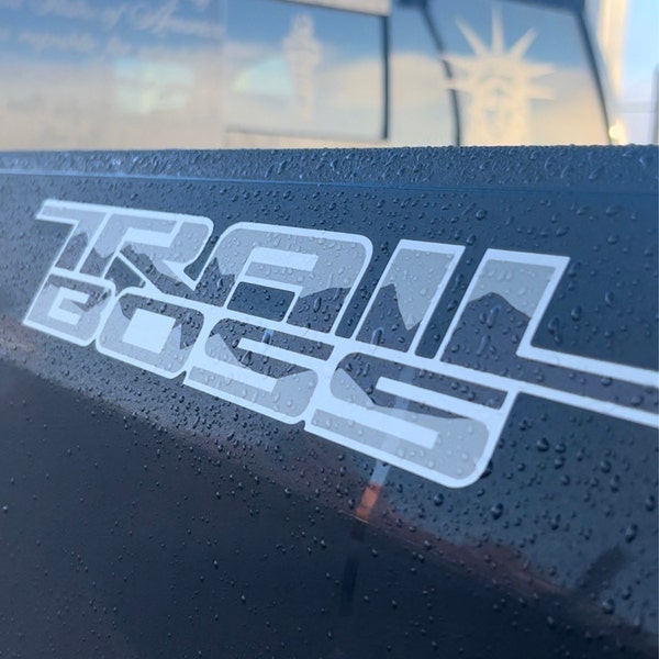2007-2018 Chevy Silverado 2500 HD Emblem Overlay Decal Letters BLACK ...