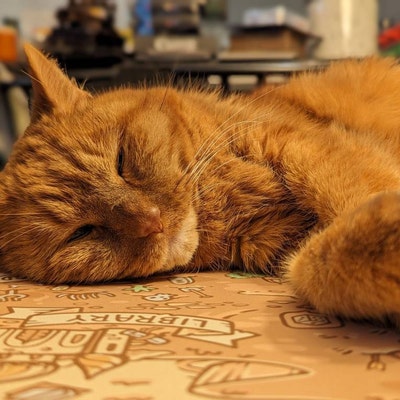 Jace Cat Playmat // Deskmat and Mousepad // Accessories for MTG - Etsy