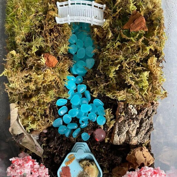 Reptile Climbing Ramp, Bearded Dragon Basking Platform, Rock Wall ...