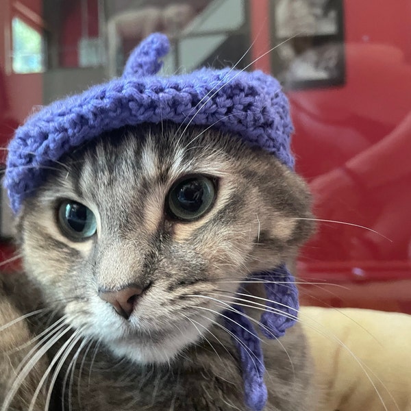 Crochet Cat Hat Pattern Beret - Etsy
