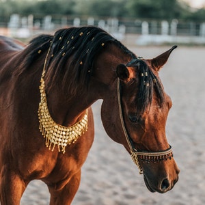 Dragon Hunter Horse Costume Medieval Barding Costume - Etsy