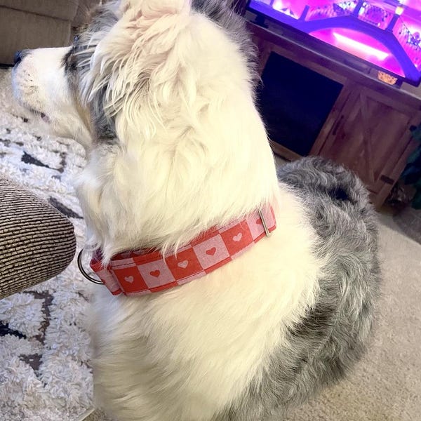 Mini Christmas Chickens Dog Collar, Martingale or Flat Collar, Festive ...