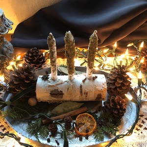 MOTH Grimoire Page Printable PDF Digital Download for Familiars Animal ...