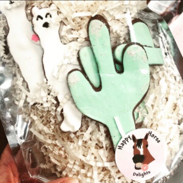 Jumbo Scallop Shellstarfish. - Etsy